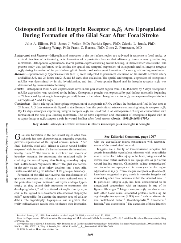 (PDF) Osteopontin and its Integrin Receptor α v β 3 Are Upregulated ...