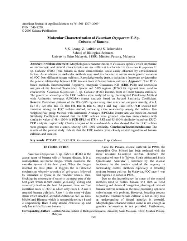 Pdf Molecular Characterization Of Fusarium Oxysporum F Sp Cubense Of Banana