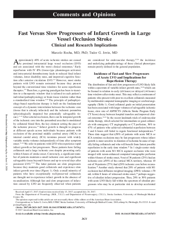 (PDF) Fast Versus Slow Progressors of Infarct Growth in Large Vessel ...