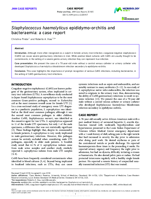 (PDF) Staphylococcus haemolyticus epididymo-orchitis and bacteraemia: a ...
