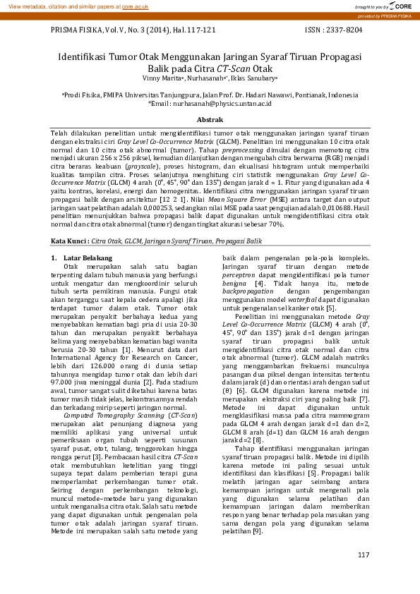 (PDF) Identifikasi Tumor Otak Menggunakan Jaringan Syaraf Tiruan Propagasi Balik pada Citra CT ...