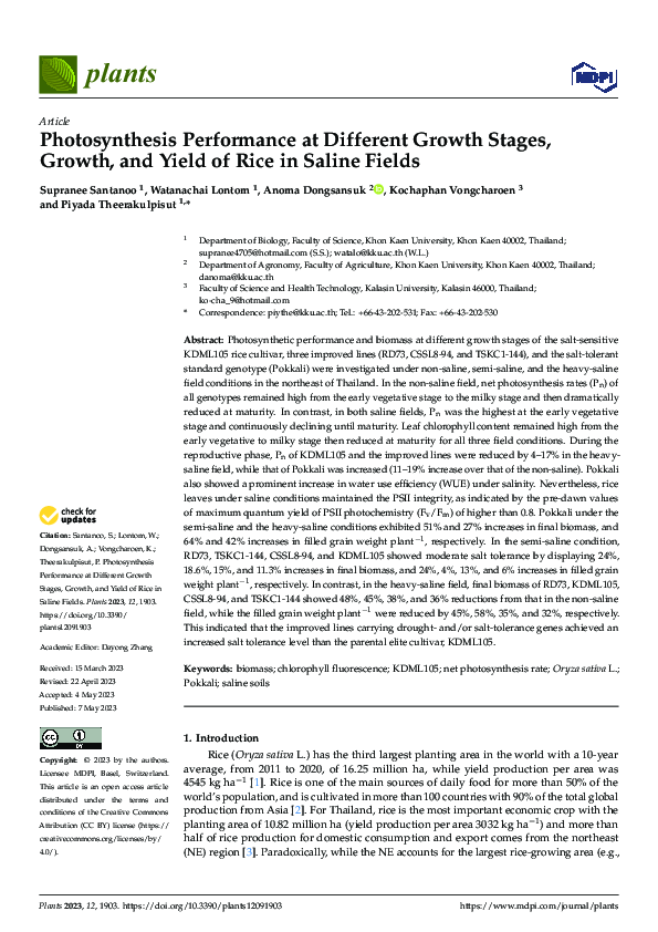 (PDF) Photosynthesis Performance at Different Growth Stages, Growth ...
