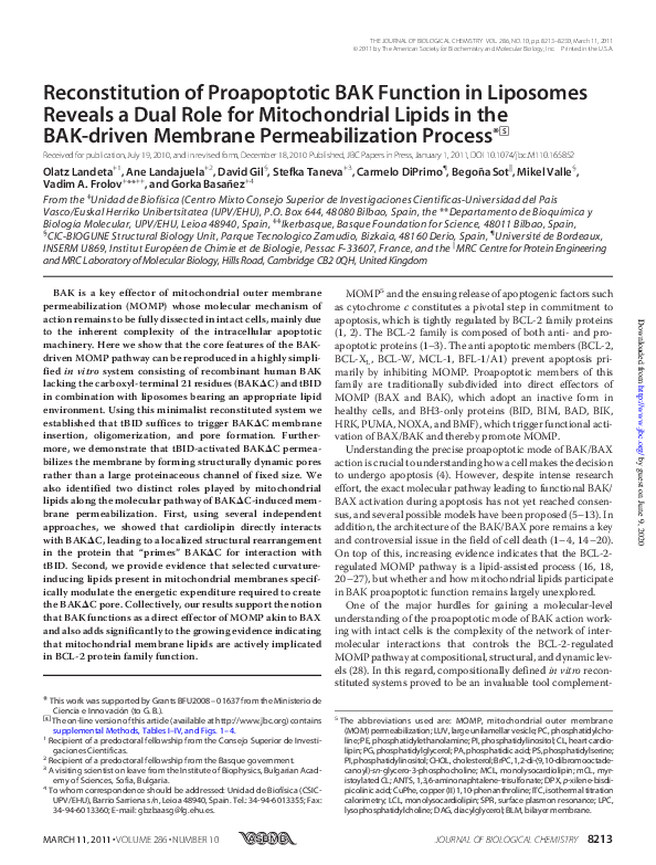 (PDF) Bak Function and Lipid Roles in Mitochondria