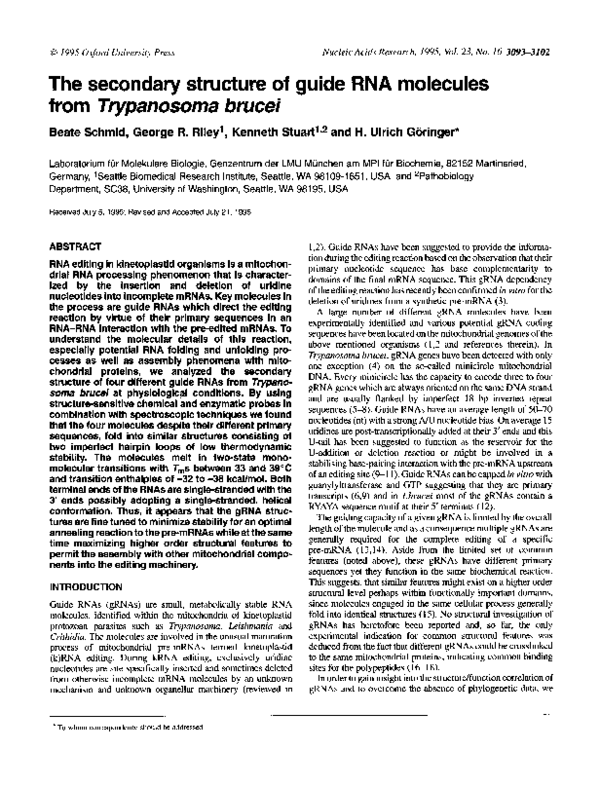 (PDF) The secondary structure of guide RNA molecules fromTrypanosoma brucei
