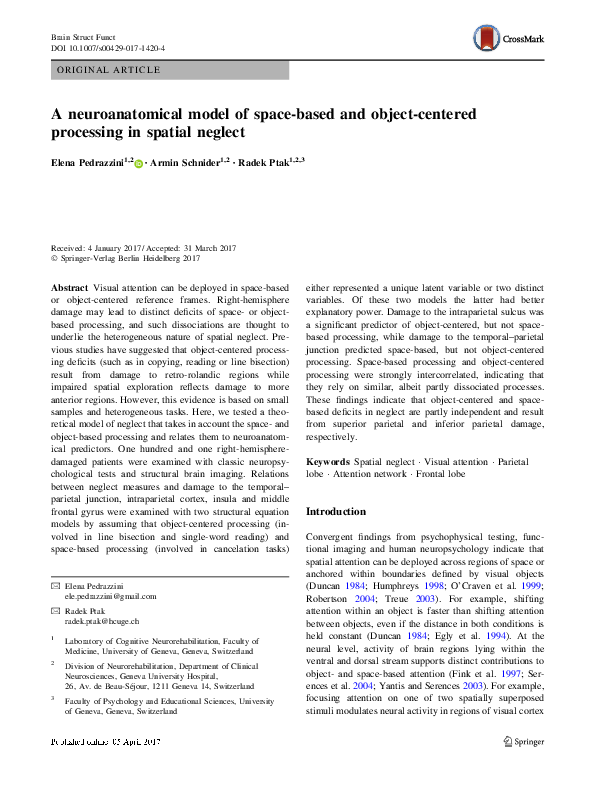 Pdf A Neuroanatomical Model Of Space Based And Object Centered Processing In Spatial Neglect