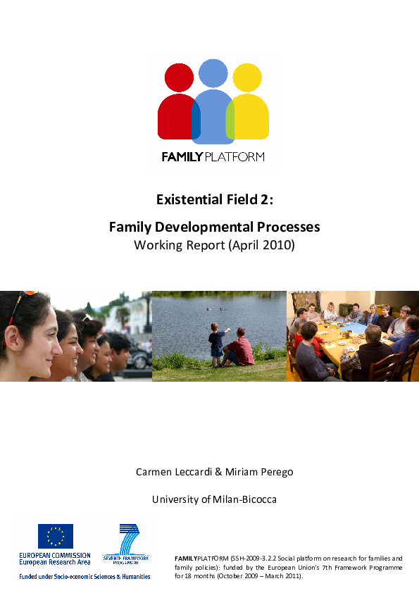 (PDF) Family Developmental Processes