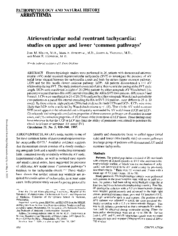 (PDF) Atrioventricular nodal reentrant tachycardia: studies on upper and lower 'common pathways
