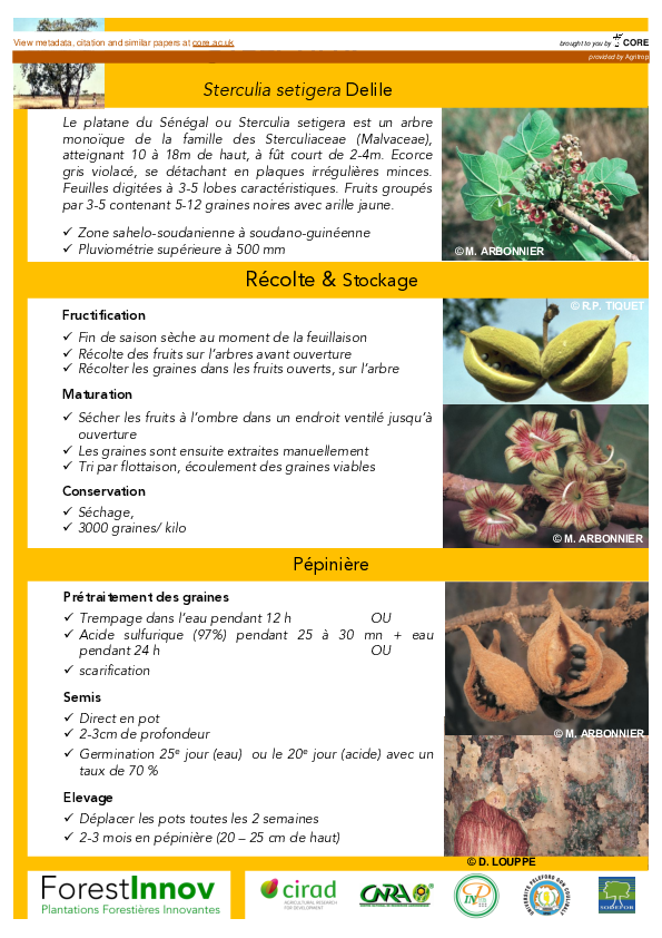 (PDF) STERCULIA Sterculia setigera Delile