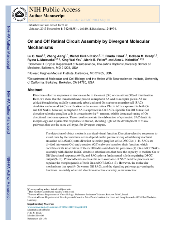 (PDF) On and Off Retinal Circuit Assembly by Divergent Molecular Mechanisms