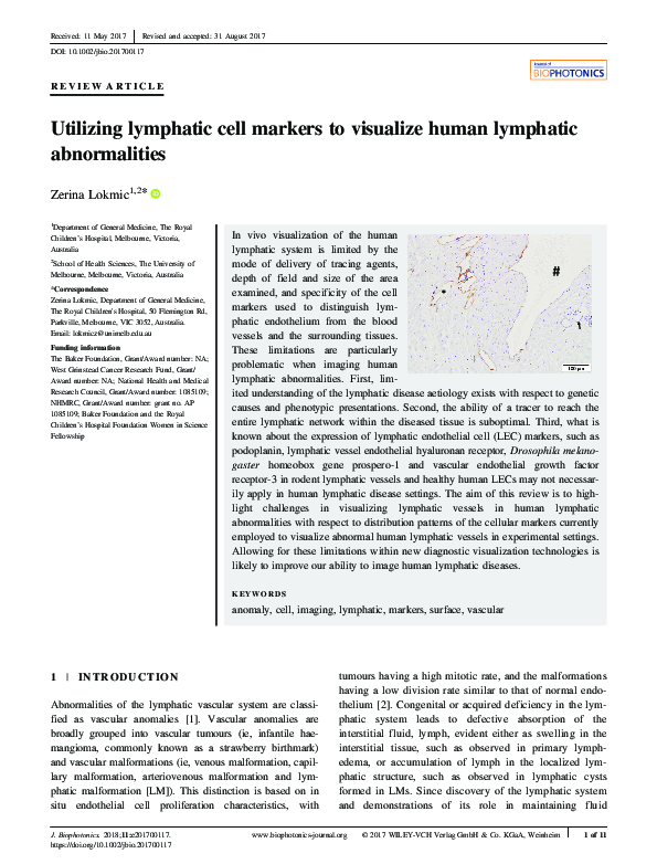 (PDF) Utilizing lymphatic cell markers to visualize human lymphatic ...