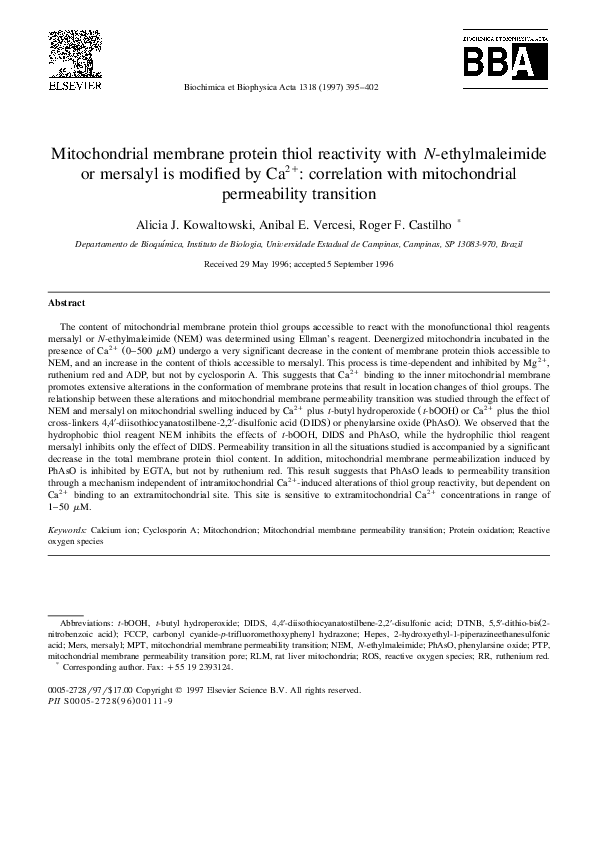 (PDF) Mitochondrial membrane protein thiol reactivity with N ...