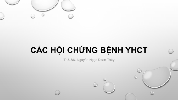 (PDF) CÁC HỘI CHỨNG BỆNH YHCT
