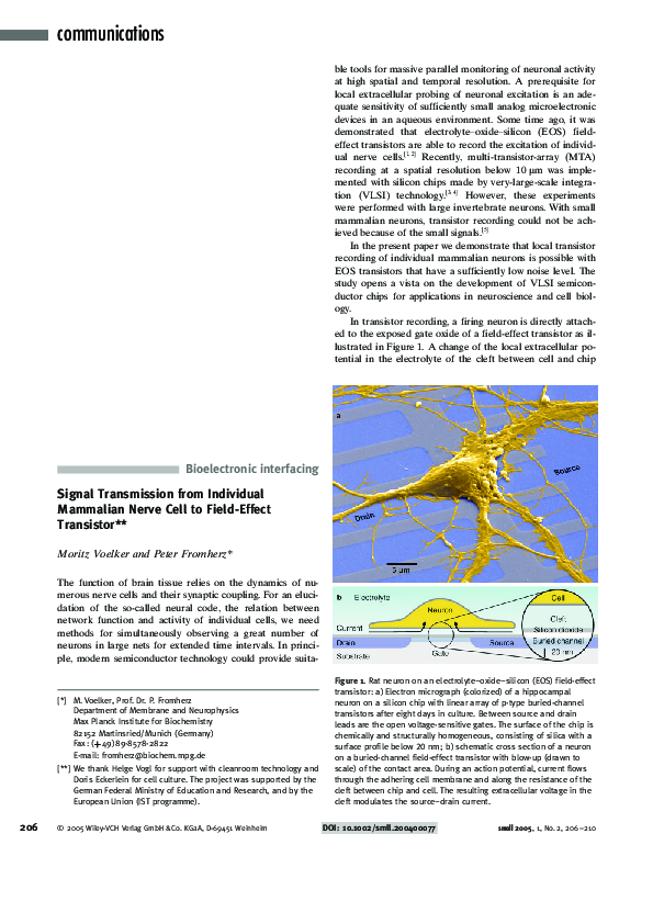 (PDF) Signal Transmission from Individual Mammalian Nerve Cell to Field ...