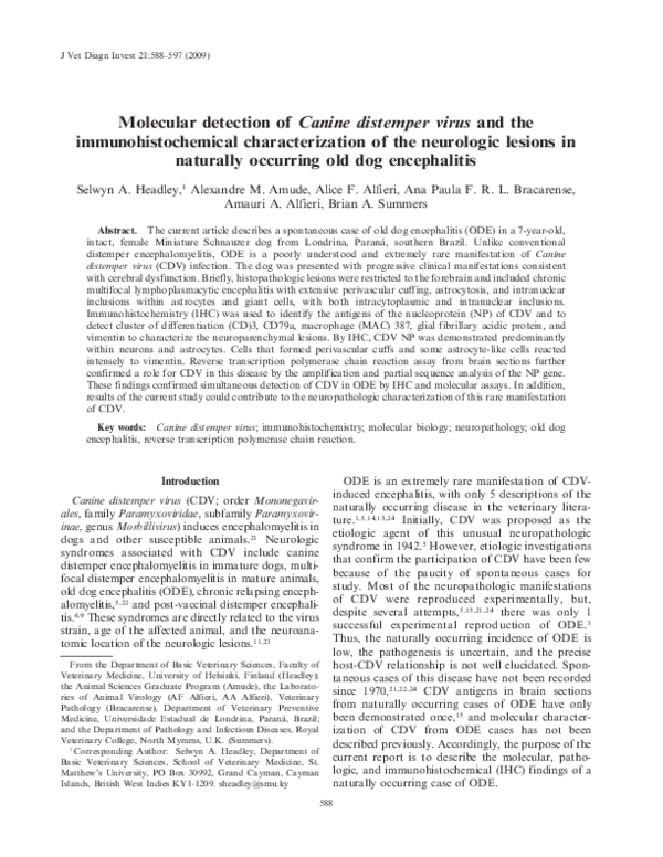 (PDF) Molecular Detection of Canine Distemper Virus and the ...