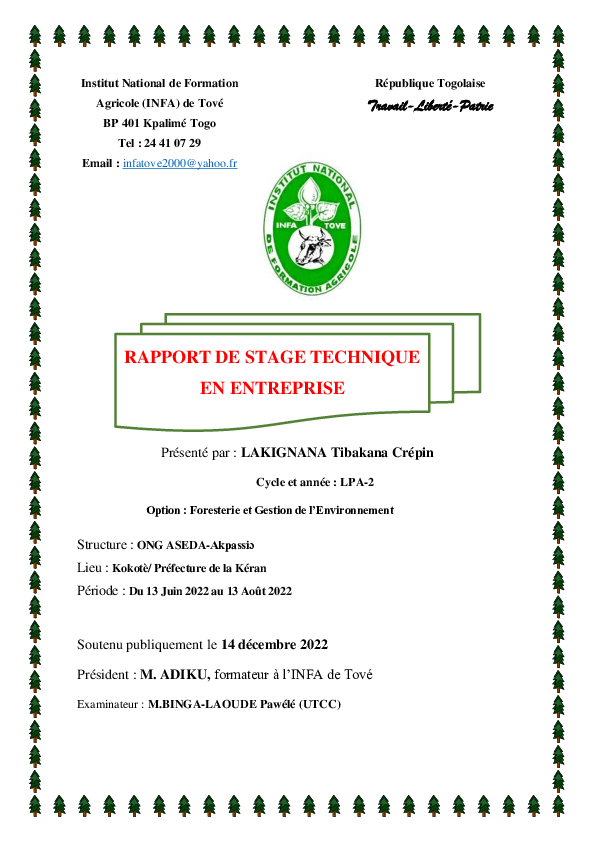 (PDF) RAPPORT DE STAGE TECHNIQUE EN ENTREPRISE