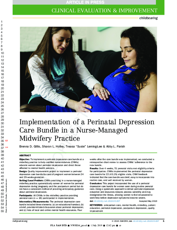 (PDF) Implementation of a Perinatal Depression Care Bundle in a Nurse ...