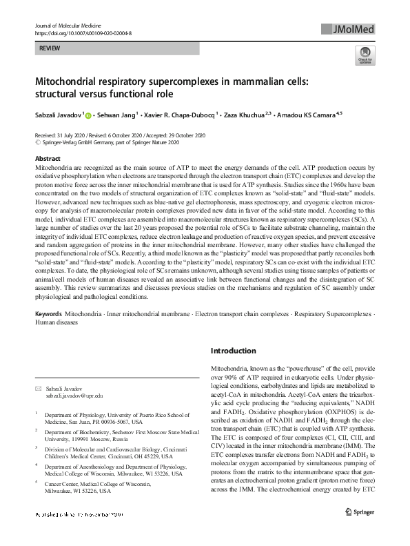 (PDF) Mitochondrial Respiratory Supercomplexes in Physiology and Diseases