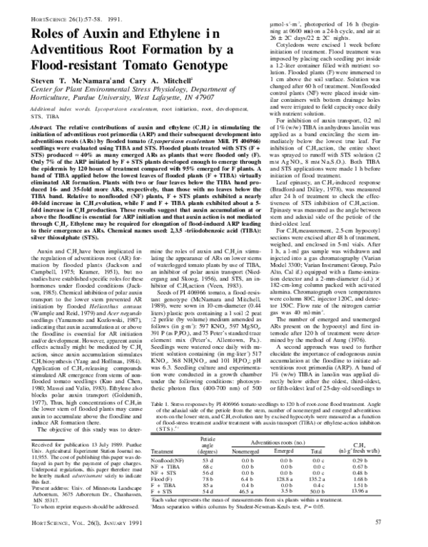 (PDF) Roles of Auxin and Ethylene Adventitious Root Formation i n by a ...