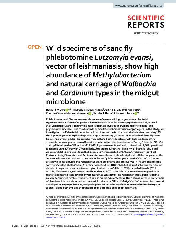 (PDF) Wild specimens of sand fly phlebotomine Lutzomyia evansi, vector ...