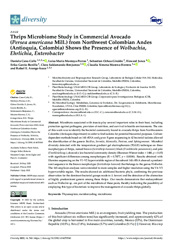 (PDF) Thrips Microbiome Study in Commercial Avocado (Persea americana ...
