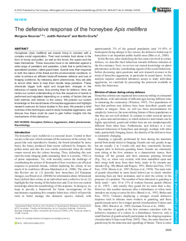 (PDF) The defensive response of the honeybee Apis mellifera | Martin ...
