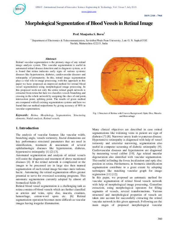 (PDF) Morphological Segmentation of Blood Vessels in Retinal Image