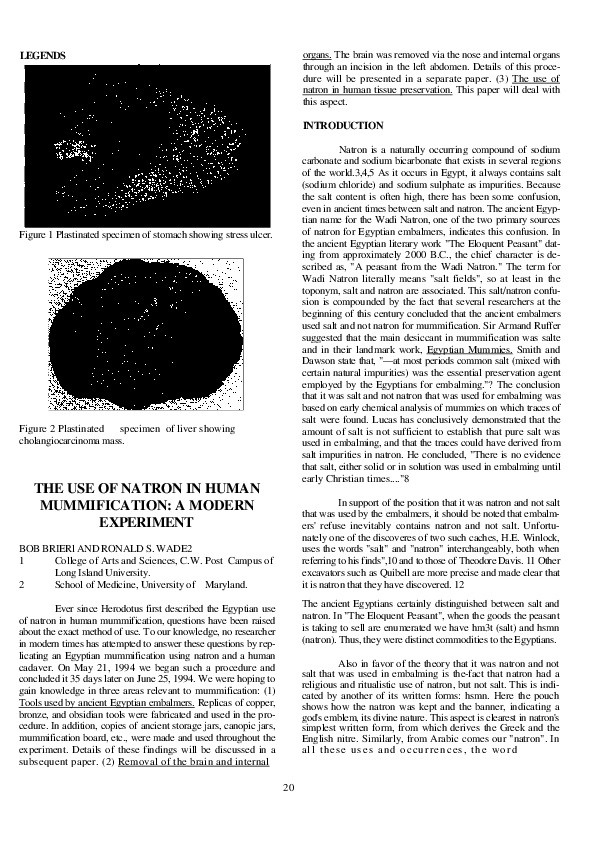 (PDF) The Use of Natron in Human Mummification: A Modern Experiment