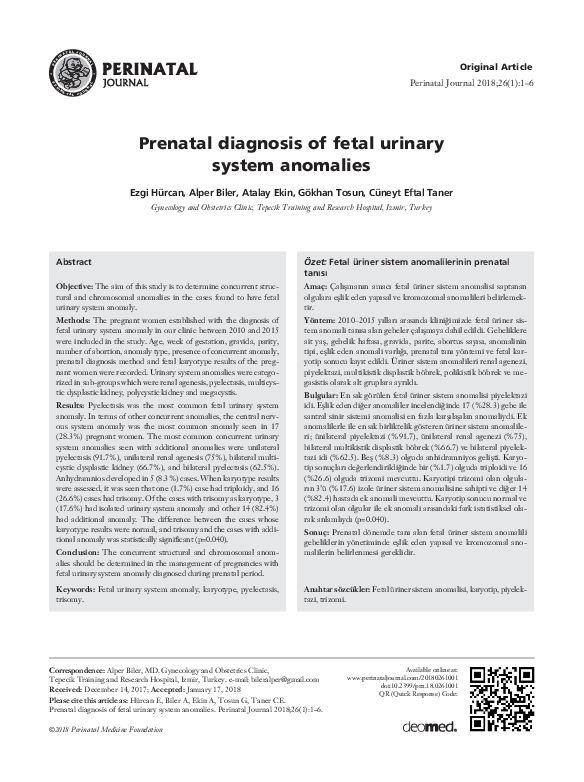 (PDF) Prenatal diagnosis of fetal urinary system anomalies