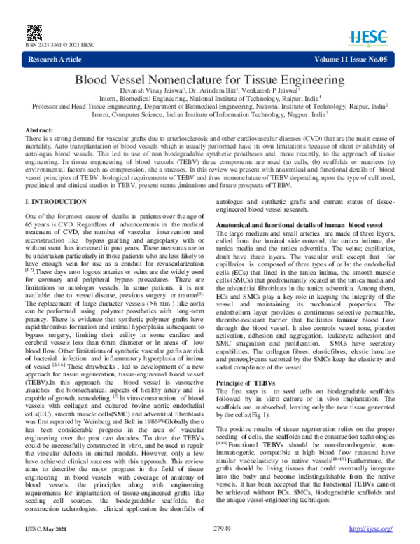 (PDF) Blood Vessel Nomenclature for Tissue Engineering
