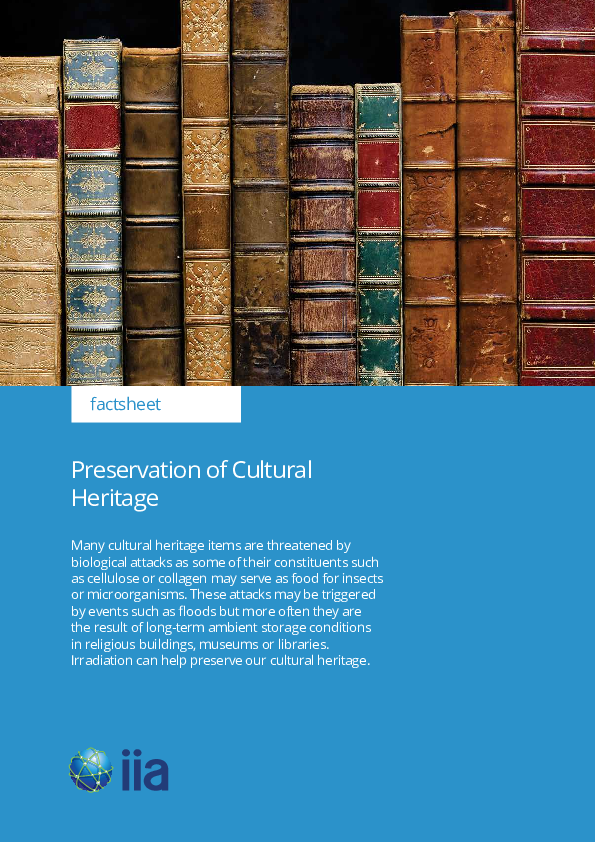 (PDF) The Preservation of Cultural Heritage