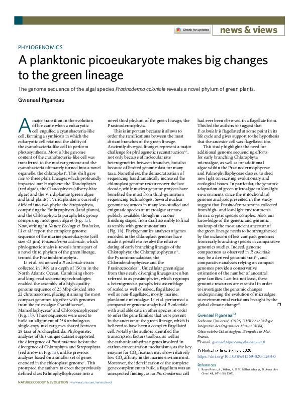(PDF) A planktonic picoeukaryote makes big changes to the green lineage