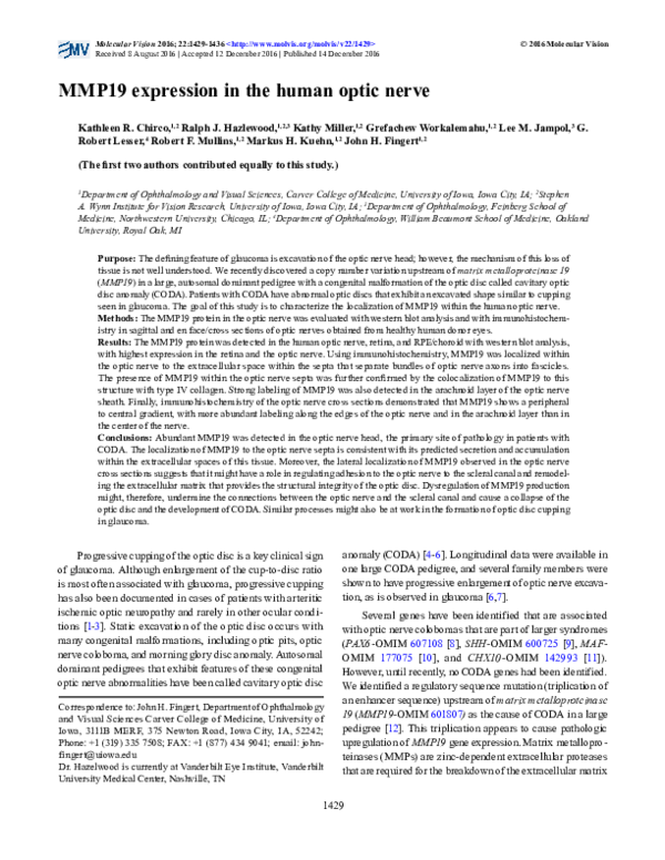 (PDF) MMP19 expression in the human optic nerve