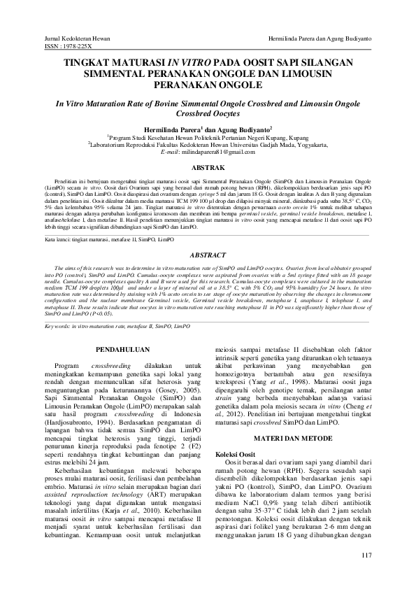 (PDF) Tingkat Maturasi in Vitro Pada Oosit Sapi Silangan Simmental ...