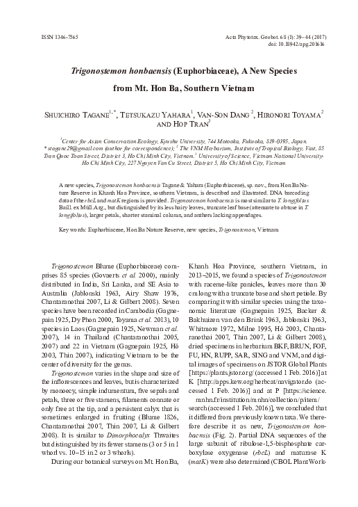 (PDF) Trigonostemon honbaensis (Euphorbiaceae), a new species from Mt ...