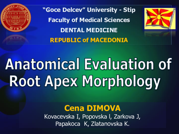 (PDF) Anatomical evaluation of root apex morphology