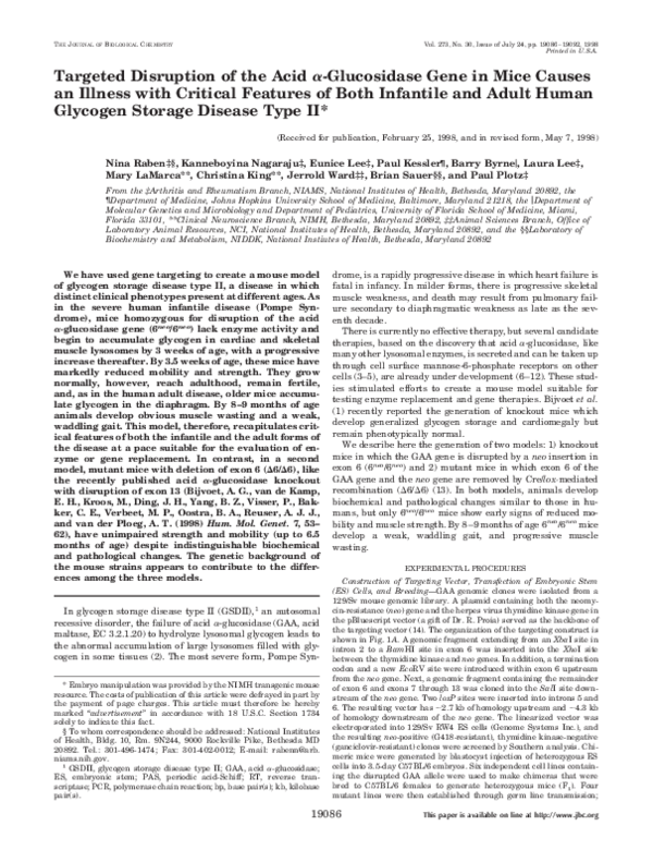 (PDF) Targeted Disruption of the Acid α-Glucosidase Gene in Mice Causes ...