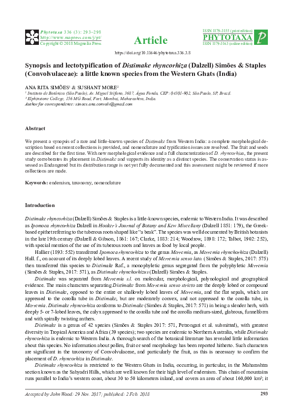 (PDF) Synopsis and lectotypification of Distimake rhyncorhiza (Dalzell ...
