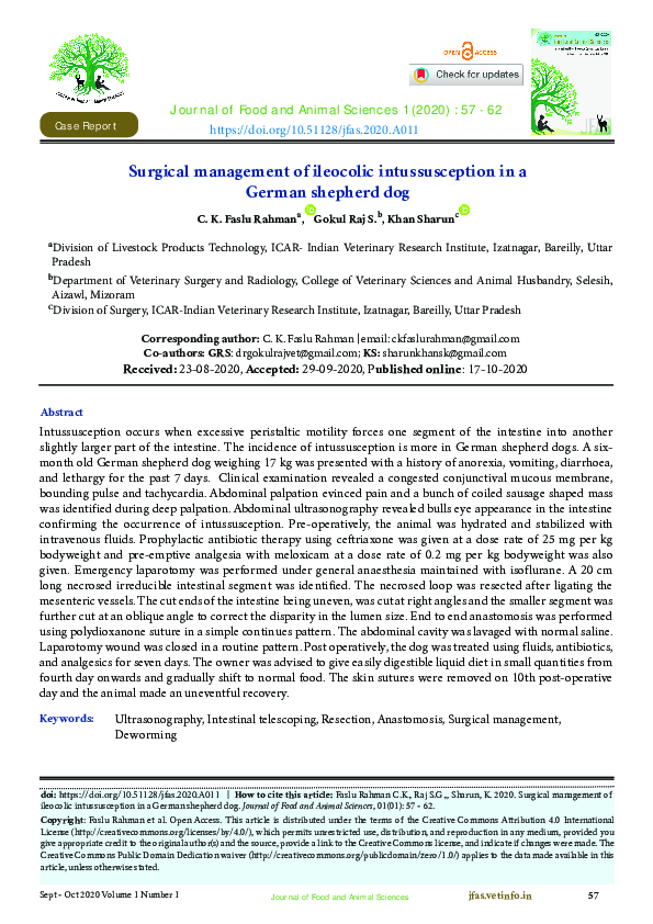 (PDF) Surgical management of ileocolic intussusception in a German ...