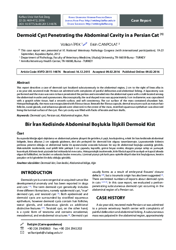 (PDF) Dermoid Cyst Penetrating the Abdominal Cavity in a Persian Cat