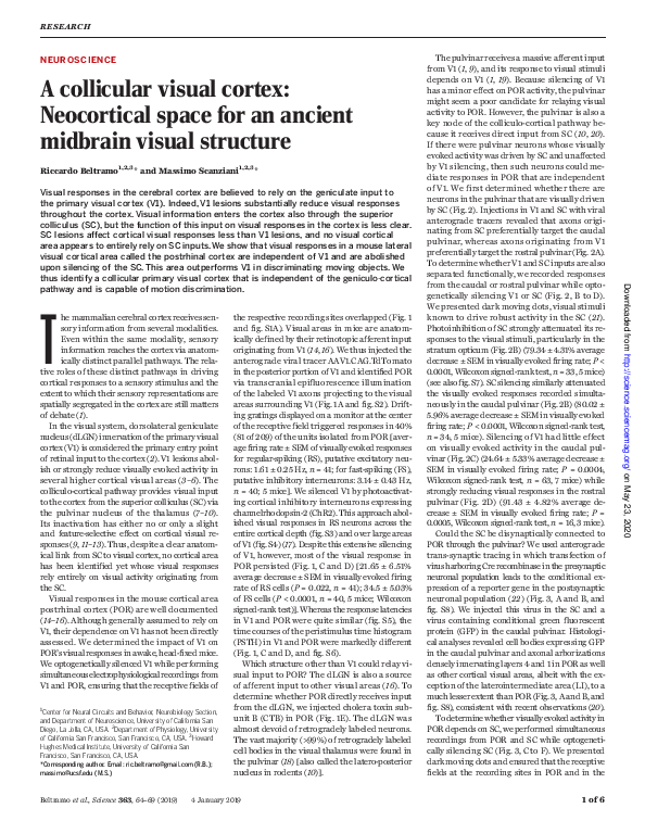 (PDF) A collicular visual cortex: Neocortical space for an ancient ...