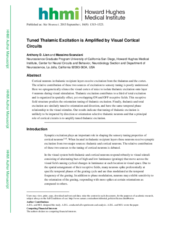 (PDF) Tuned thalamic excitation is amplified by visual cortical circuits