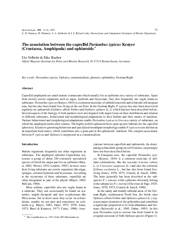 (PDF) The association between the caprellid Pariambus typicus Krøyer ...