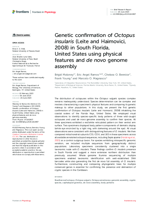 (PDF) Genetic confirmation of Octopus insularis (Leite and Haimovici ...