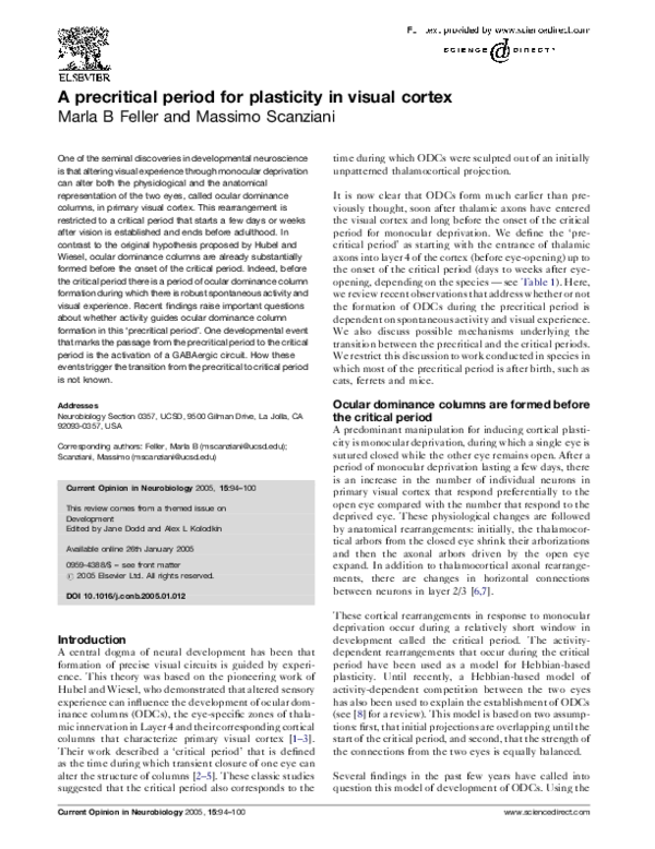 (PDF) A precritical period for plasticity in visual cortex