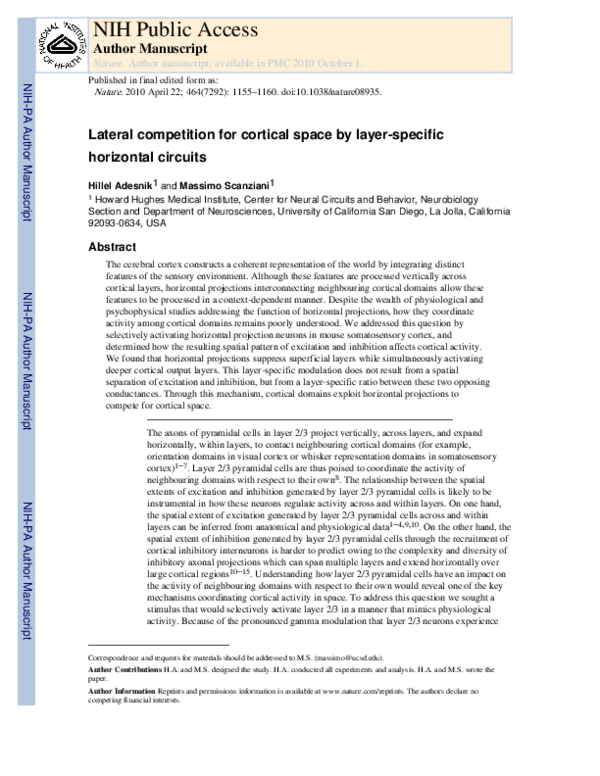 (PDF) Lateral competition for cortical space by layer-specific ...