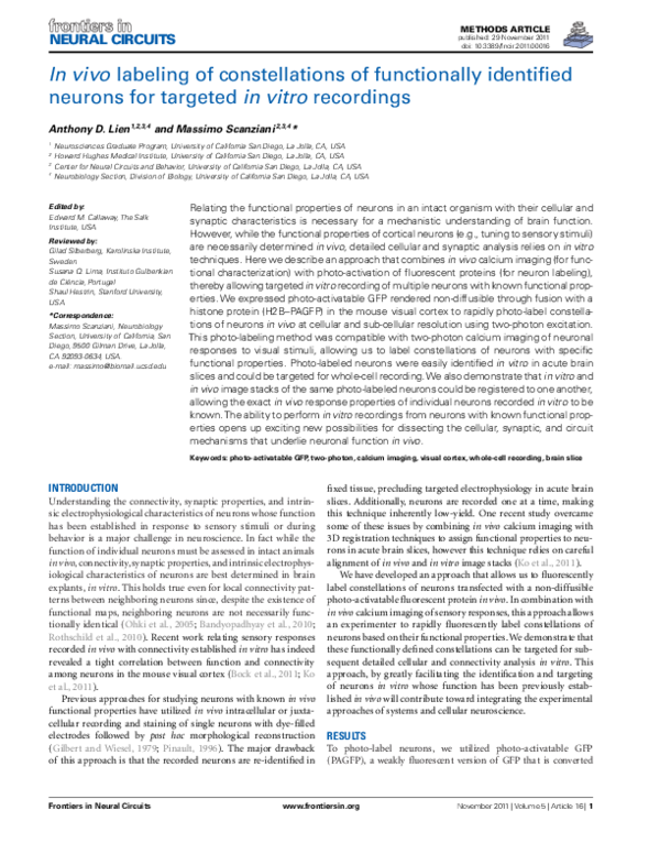 (PDF) In vivo Labeling of Constellations of Functionally Identified ...