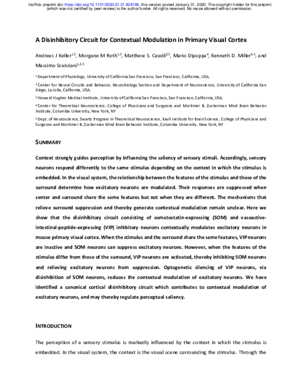(PDF) A Disinhibitory Circuit for Contextual Modulation in Primary Visual Cortex