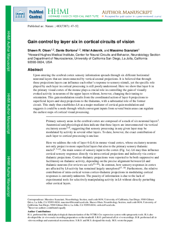 (PDF) Gain control by layer six in cortical circuits of vision