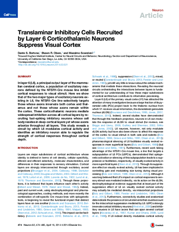 (PDF) Translaminar Inhibitory Cells Recruited by Layer 6 ...
