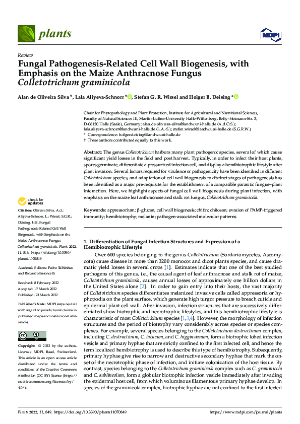 (PDF) Fungal Pathogenesis-Related Cell Wall Biogenesis, with Emphasis ...